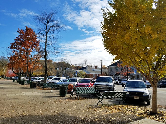 Fall paints Granville's street-side benches and trees in golden hues, creating postcard-worthy scenes at every turn.