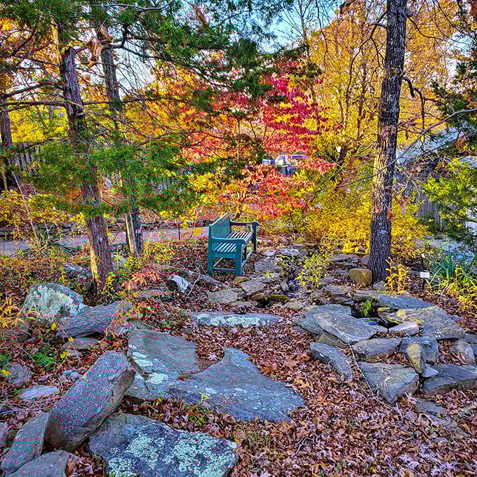 Stone steps and a gentle stream create nature's amphitheater&mdash;proof that the Ozarks were designing Instagram-worthy spots long before smartphones. 