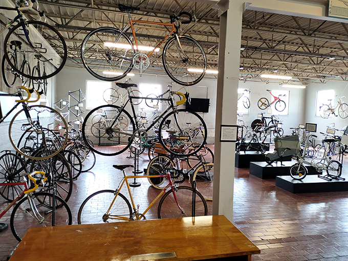 Bicycles suspended like kinetic art installations remind us that before the automobile, two wheels and human power were revolutionary technology.