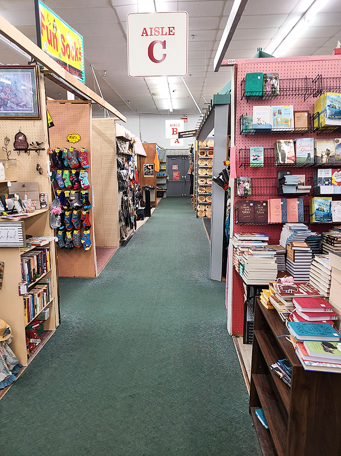 Books and more books! Aisle C offers literary treasures for every taste, from dog-eared paperbacks to collectible hardcovers.