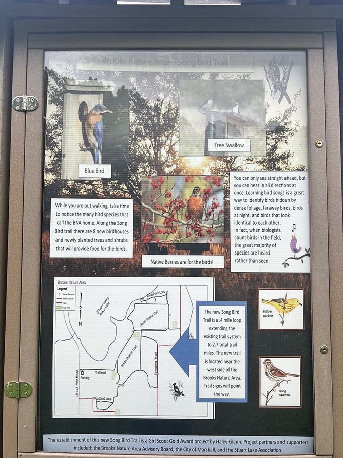 The Song Bird Trail sign reveals Marshall's commitment to both nature and community, where even bird-watching becomes an educational adventure.