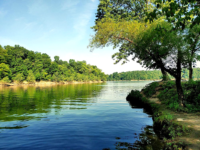 Morning tranquility as the lake mirrors the sky, creating that rare moment when even teenagers might put down their phones.