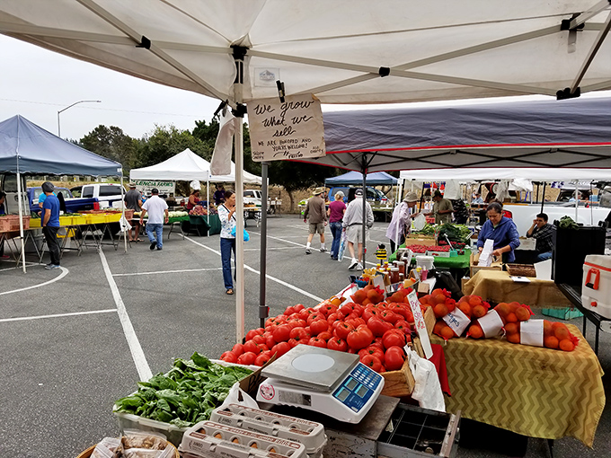 Cambria's Farmers Market showcases the bounty of Central Coast agriculture, where tomatoes have never seen the inside of a refrigerator truck.