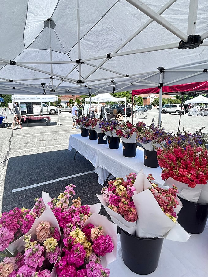 The farmers market transforms parking lots into vibrant community spaces where fresh flowers and local produce don't require a special occasion—or a special budget.