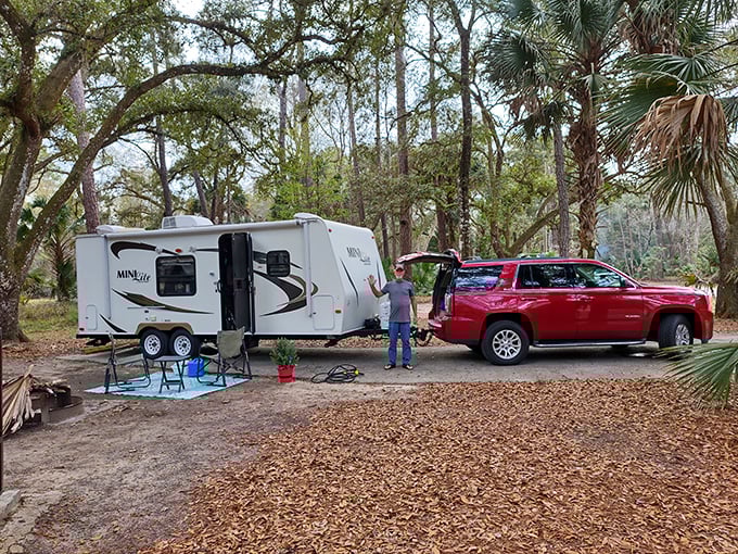 Camping nirvana: where your morning alarm is a chorus of birds and your ceiling is a canopy of stars.