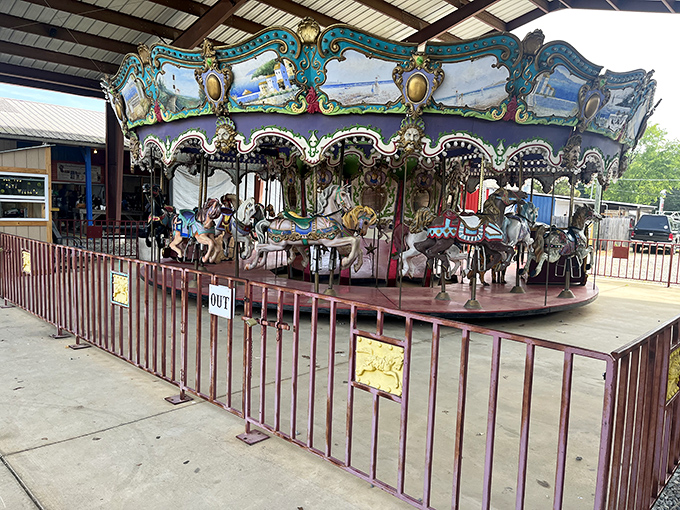 Vintage carousel horses frozen mid-gallop. This beautifully preserved merry-go-round offers a moment of childhood joy between bargain hunts.