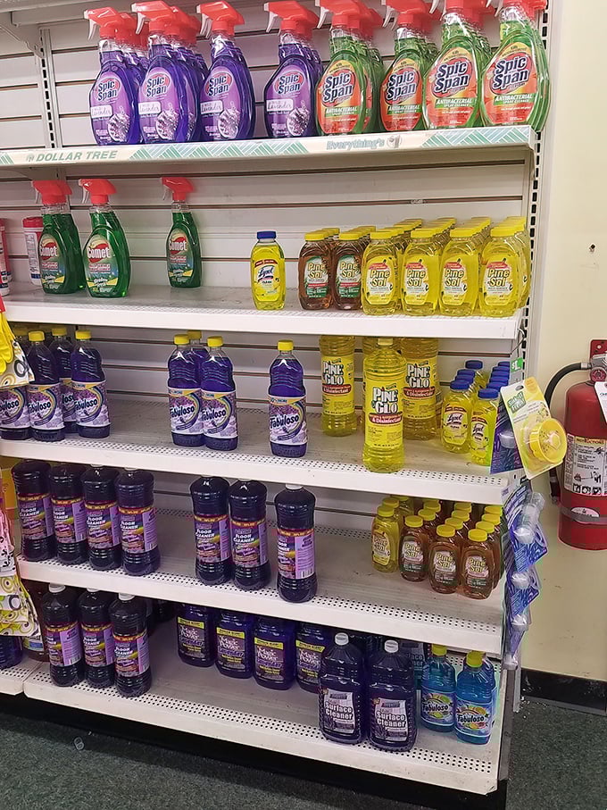 Cleaning products lined up like soldiers ready for battle against household grime. Satisfaction without the sticker shock.