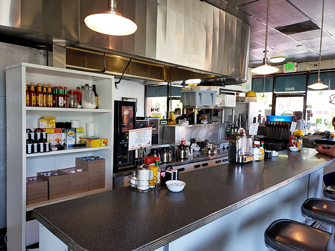 This isn't just a counter&mdash;it's command central where breakfast dreams become reality. Notice the perfectly organized condiments standing at attention.