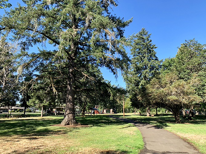Dallas City Park provides generous green spaces where towering trees offer shade for picnics, reading, or simply watching the world go by.