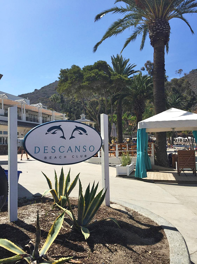 Descanso Beach Club offers that rare combination of natural beauty and comfortable amenities, like finding an oasis that thoughtfully includes cocktail service.