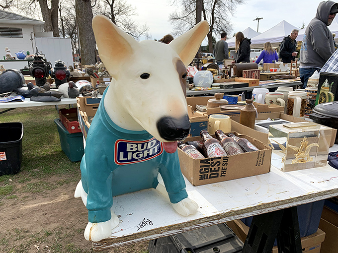 That Bud Light bull proves even advertising mascots deserve a second chance at bringing joy somewhere new.