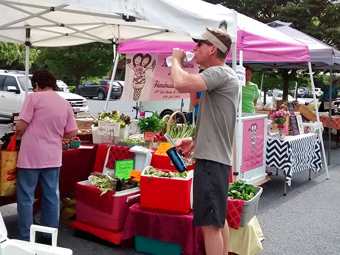 At Lititz Farmers Market, locals browse fresh produce while vendors share stories as readily as samples. Community sustained by community.