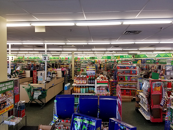 The panoramic view that makes bargain hunters' hearts beat faster. This well-organized retail landscape promises adventures in affordable shopping around every corner.