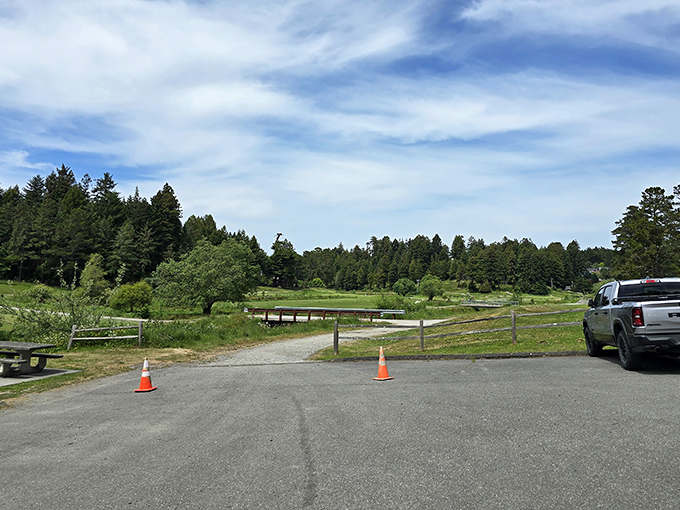 Nature frames this peaceful green space, offering a serene escape where the only sound might be your own contented sigh.