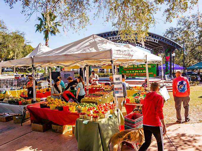 The farmers market transforms Pioneer Park into a cornucopia of colors where the produce is fresher than most pickup lines.