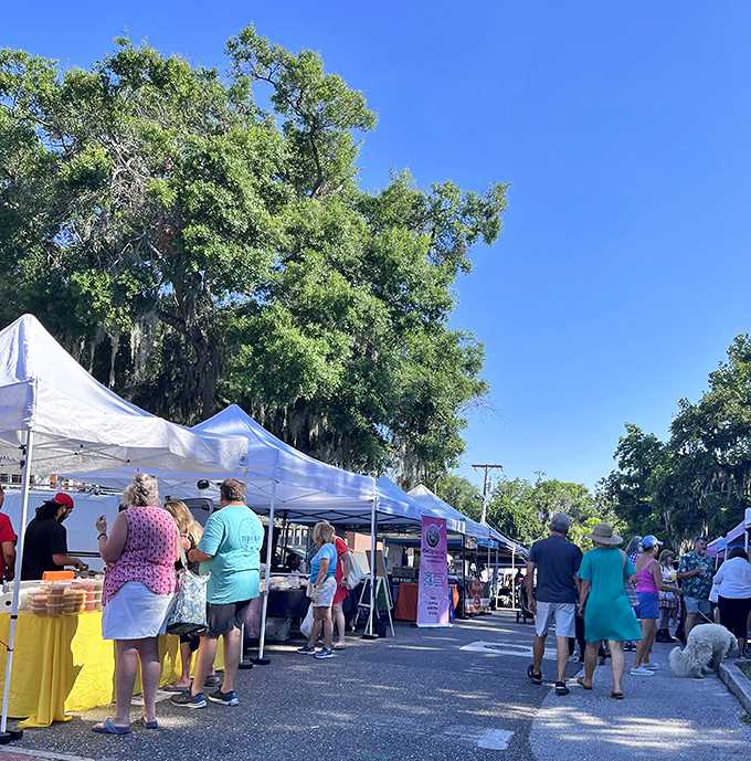 The Fernandina Beach Market Place brings locals and visitors together under the shade of ancient oaks. Shopping becomes a social event when the setting is this inviting.