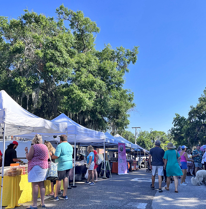 The Market Place vendors set up under Spanish moss-draped oaks, creating a shopping experience that no mall architect could ever design.