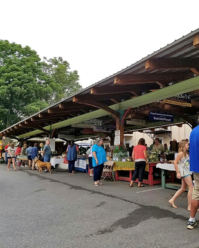 Saturday morning perfection at Floyd Farmers Market. Where "locally sourced" isn't a trendy phrase&mdash;it's just how things have always been done.