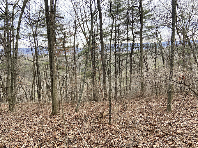 The woods surrounding Bellefonte offer peaceful hiking where the only thing that takes your breath away is the view, not the cost of admission.