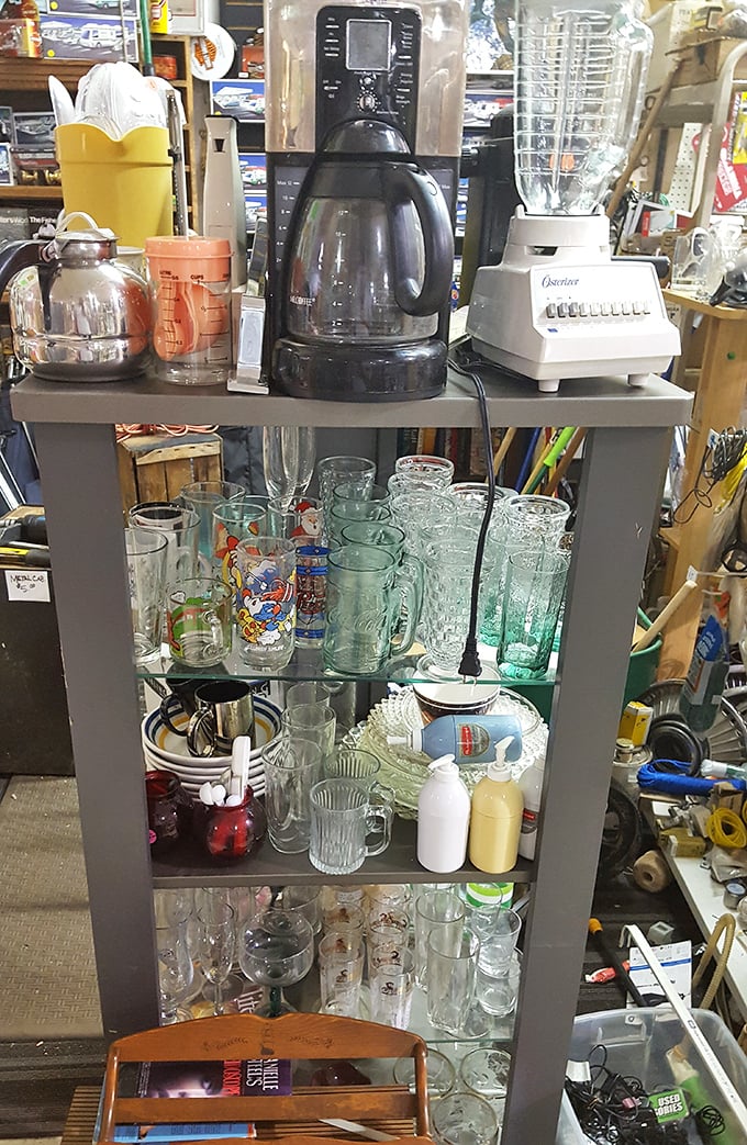 Kitchen appliances and glassware stand at attention, each vintage blender and mismatched tumbler awaiting its second act in a new home.