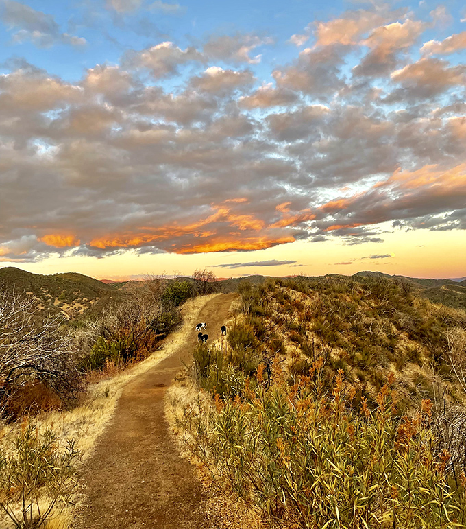 This sunset-kissed trail doesn't care about your step count&mdash;it's too busy showing off California's golden hour magic in a masterclass of natural lighting.