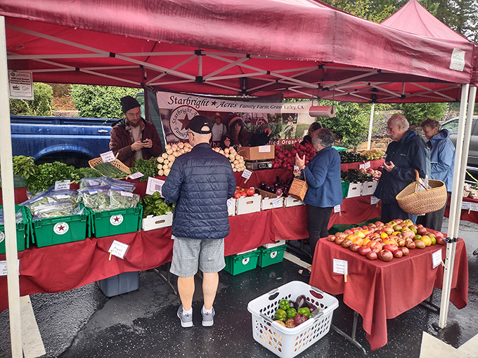 At Grass Valley's Farmers Market, conversations flow as freely as the seasonal produce, creating community one heirloom tomato at a time.