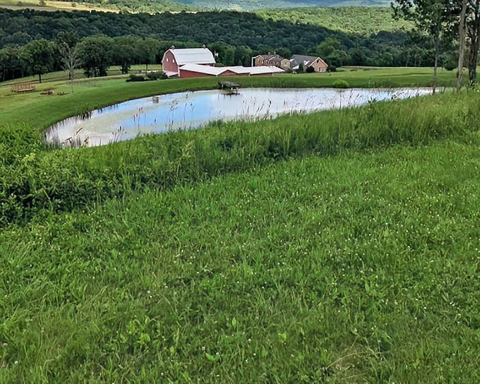 Rural landscapes just minutes from downtown offer pastoral scenes that city dwellers pay premium prices just to visit on weekends.