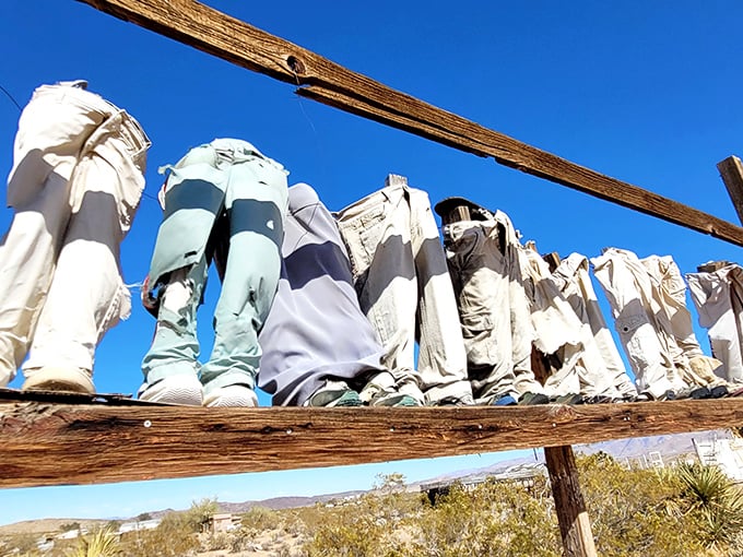 Laundry day in the twilight zone. These ghostly pants hanging in the desert breeze create a strangely human presence in this otherworldly landscape.
