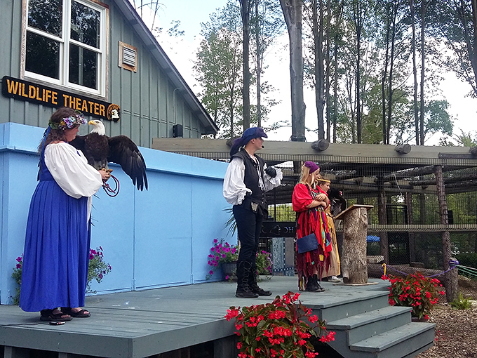 Where wildlife education meets theatrical presentation &ndash; proving learning doesn't have to choose between informative and entertaining.