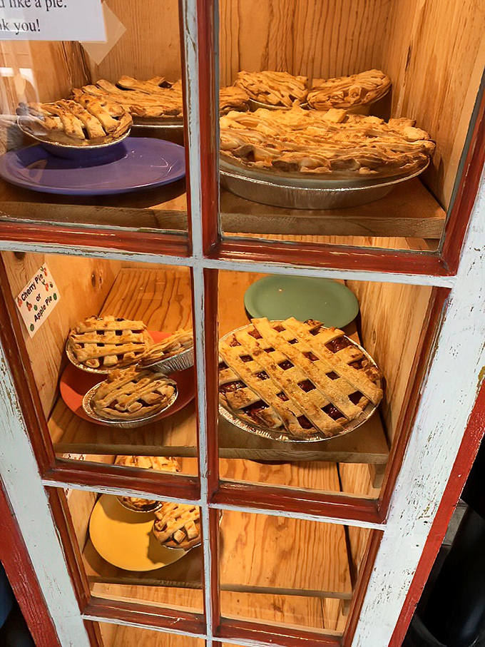 Pie display that stops conversations mid-sentence. These lattice-topped beauties have caused more hiking detours than sudden mountain storms.