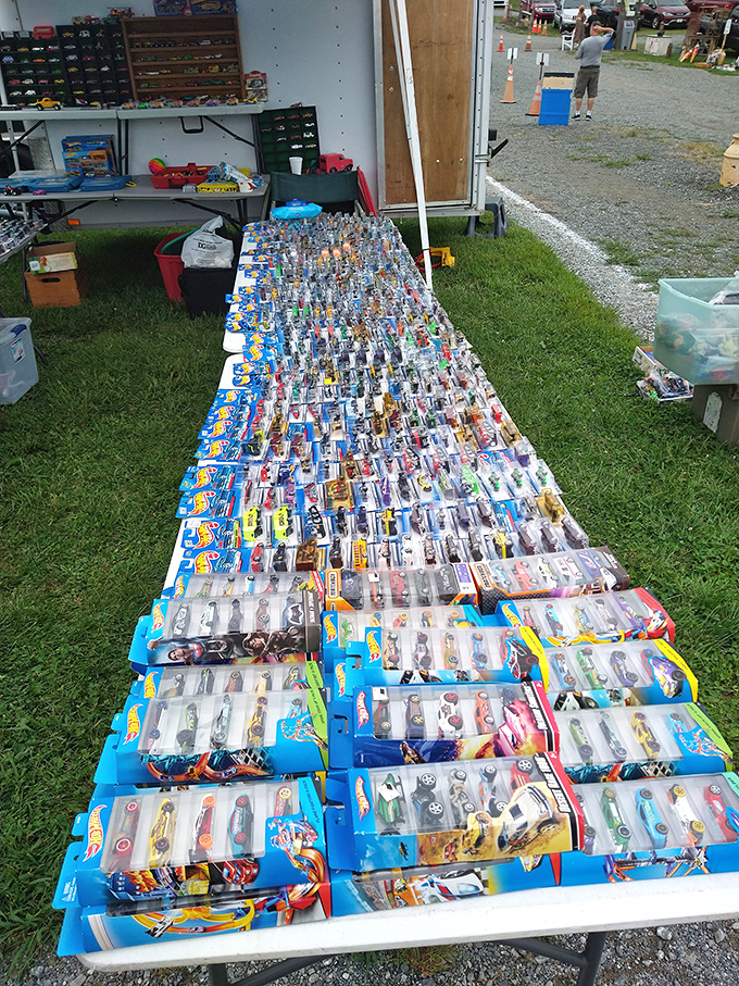 Hot Wheels heaven stretches as far as the eye can see&mdash;a colorful highway of die-cast dreams that proves collecting never outgrows its childhood joy.