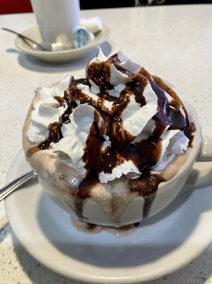 Hot chocolate that doesn't know the meaning of restraint. This mountain of whipped cream and chocolate drizzle is dessert masquerading as a beverage.