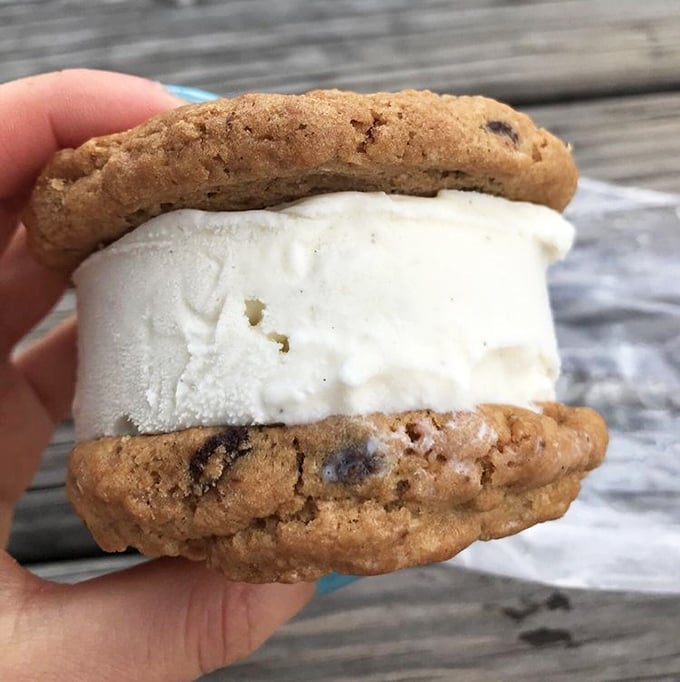 The ice cream sandwich: humanity's greatest architectural achievement. Two cookies embracing a generous scoop of vanilla&mdash;pure handheld perfection.