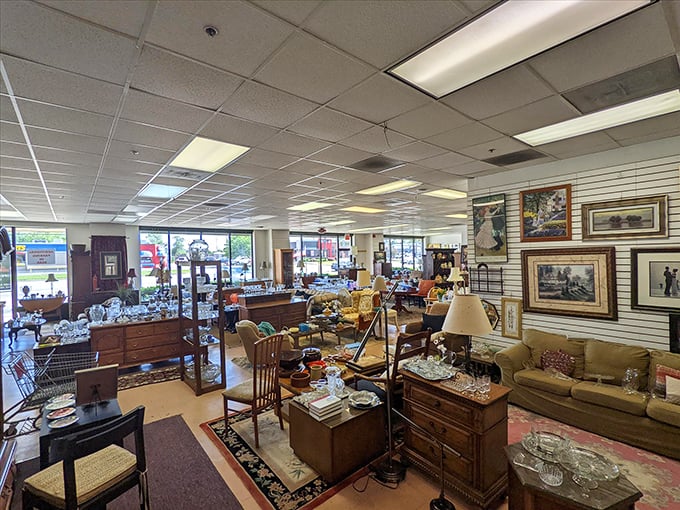 The bright windows illuminate treasures like museum exhibits. Your next heirloom might be hiding in plain sight, bathed in suburban sunshine.