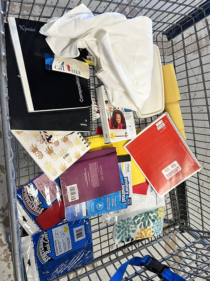 School supplies, journals, and office essentials fill shopping carts for pennies on the dollar. Organization never looked so affordable.