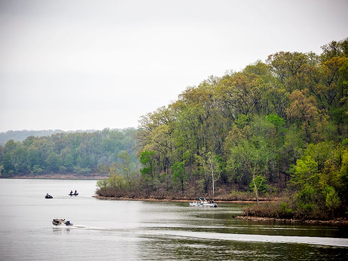 Lake Wappapello offers peaceful boating and fishing opportunities just a short drive away. Weekend getaways without getaway pricing.