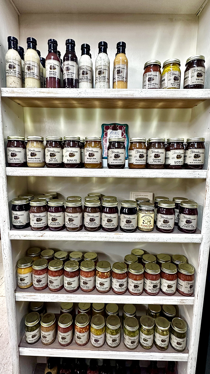 A pantry of preserved delights! These neatly arranged jars contain flavors that transport you straight to grandma's kitchen on canning day.