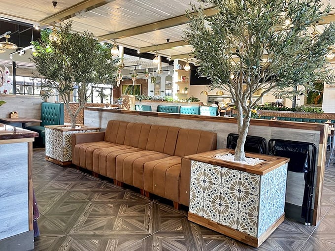 Indoor olive trees frame cozy seating areas where you can linger long enough to justify a second breakfast or early lunch.