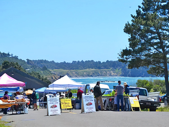 Farmers Market with a view&mdash;because locally grown produce tastes even better when paired with breathtaking coastal scenery.