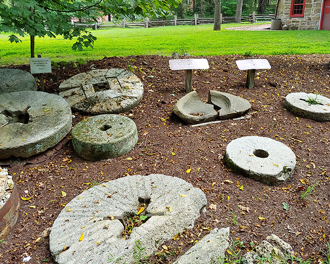 These weathered millstones rest like sleeping giants, their grooves telling tales of grain transformed into sustenance through human ingenuity.