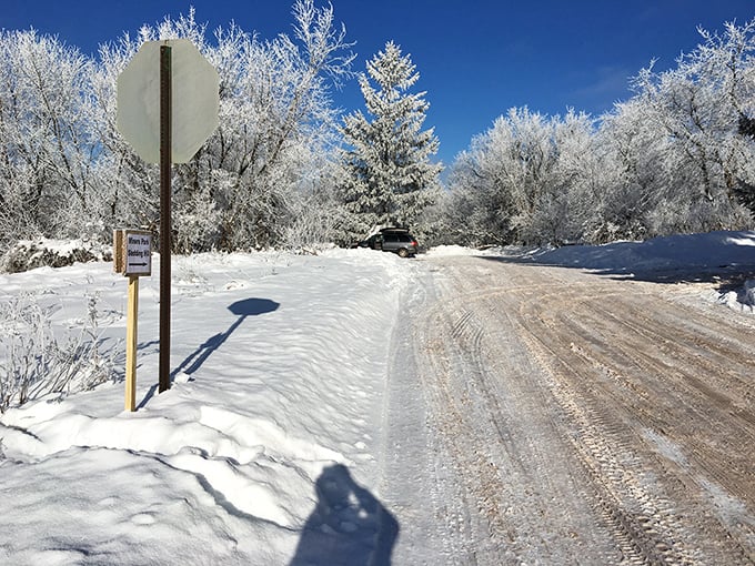 Winter transforms Ironwood into a snow globe come to life, where even a stop sign looks magical frosted in nature's powdered sugar.