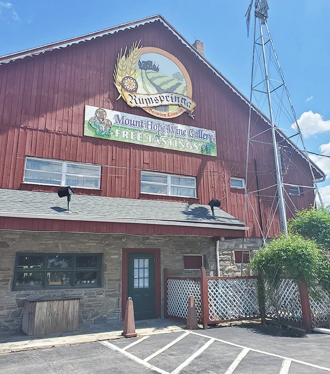 This isn't just a wine gallery in a barn&mdash;it's proof that good taste can flourish anywhere, even where you least expect to find a decent glass of Riesling.