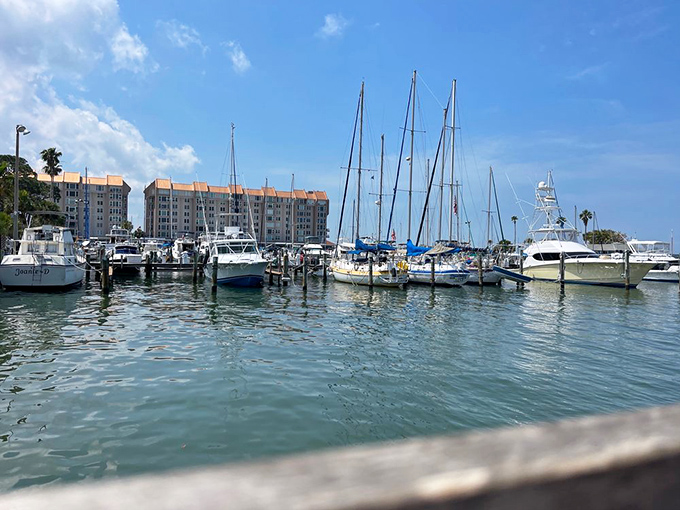 The view that makes you forget to check your phone. Sailboats and yachts creating a postcard-perfect backdrop for your seafood feast.
