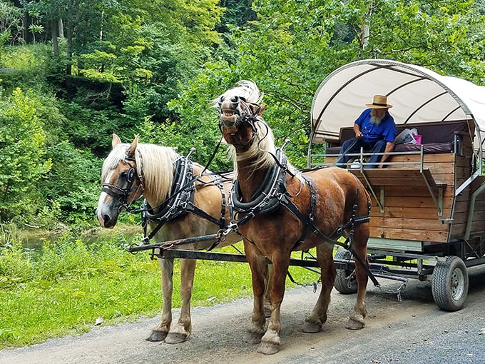 Ole Covered Wagon Tours offers history with horsepower, letting you experience the landscape at the perfect pace&mdash;slower than life but faster than hiking.