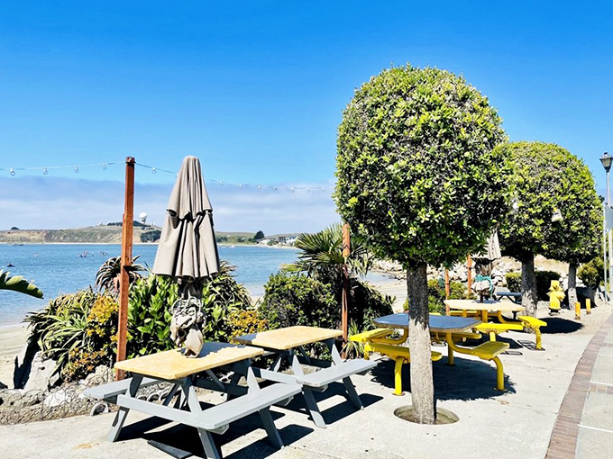 Yellow picnic tables with million-dollar views&mdash;because sometimes the best dining rooms have no walls and endless horizons.