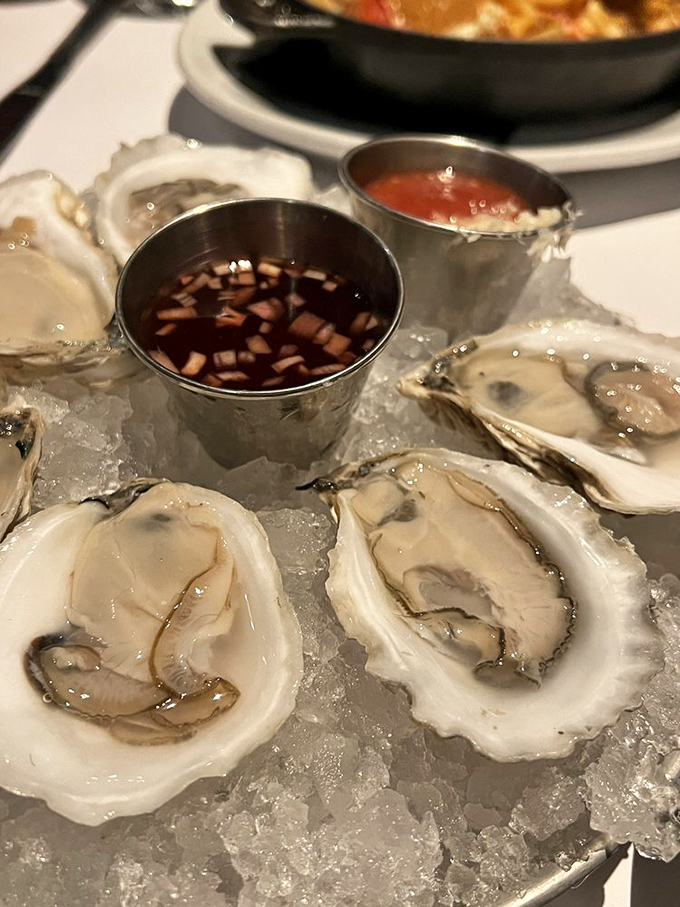 Fresh oysters on ice &ndash; nature's perfect appetizer, where the ocean's essence is captured in each briny, slurp-worthy bite.