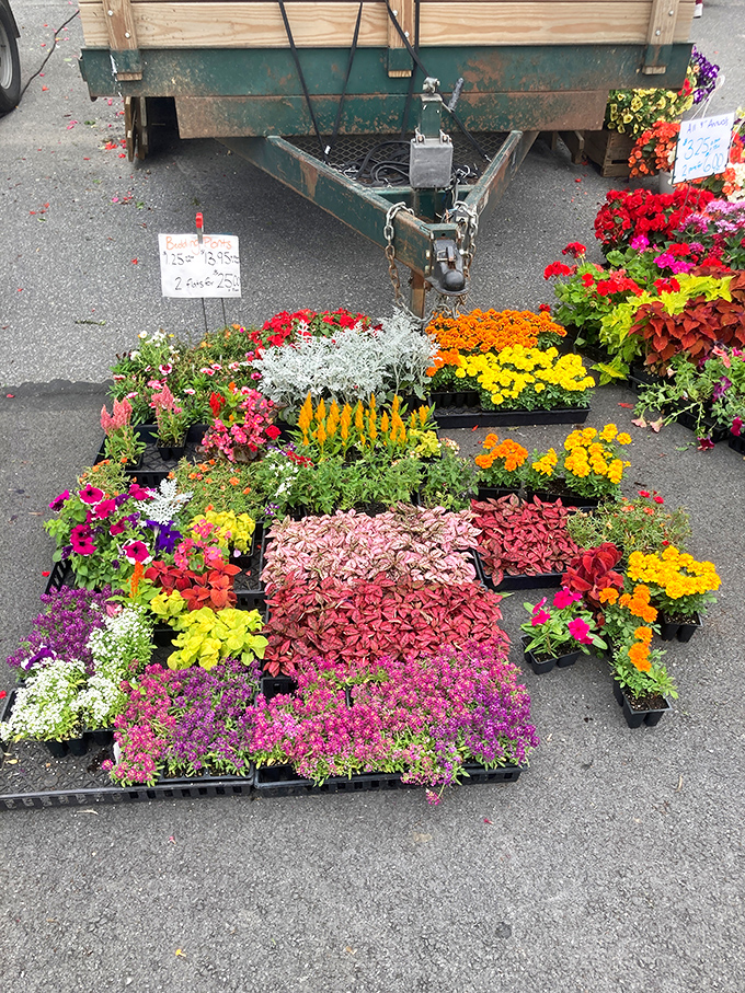 A garden center on wheels brings spring to life with vibrant flowers that practically dare you not to transform your backyard this weekend.