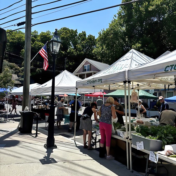 Essex's farmers market &ndash; where the produce is fresh, the conversation is fresher, and nobody's checking their phone notifications.