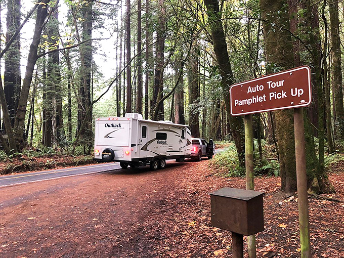 Even RVs look like toy cars when parked among these towering natural monuments.