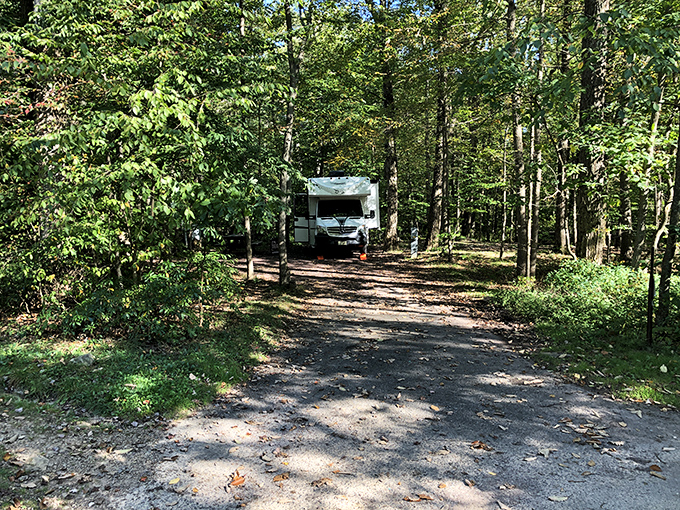 Camping's evolved since our grandparents' canvas tent days, but the joy of waking up surrounded by Pennsylvania's forests remains timeless.